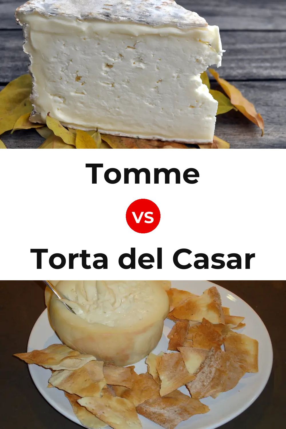 Tomme vs Torta del Casar: What's the Difference? - AnyCheese